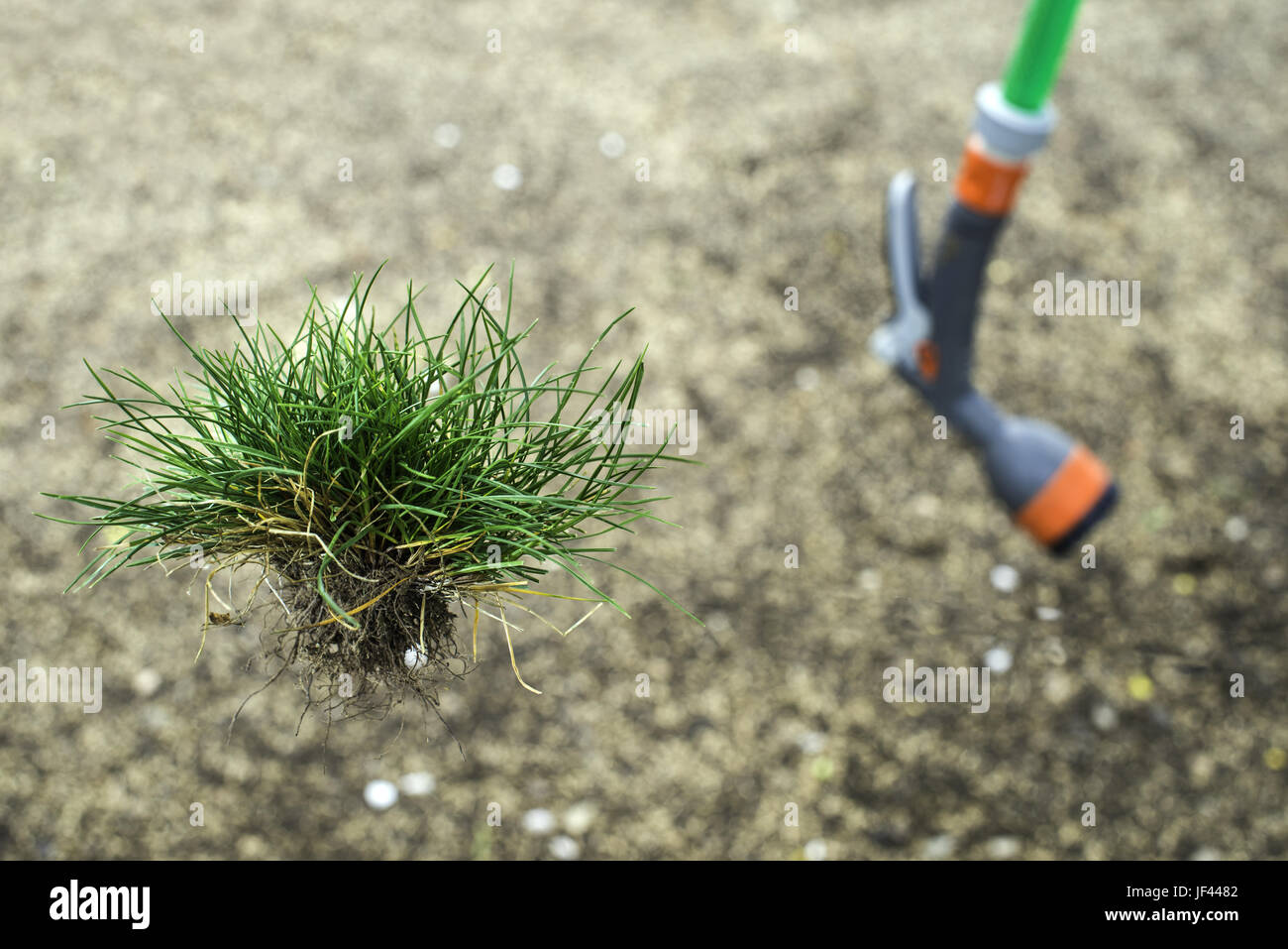 Turf grass and earth Stock Photo - Alamy