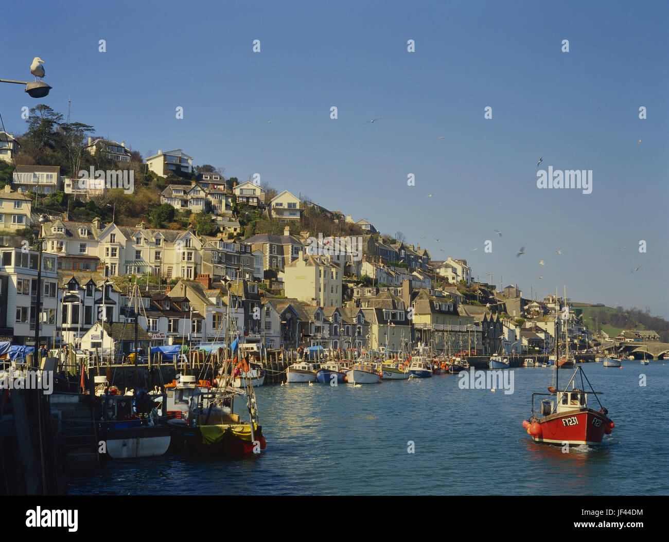 The fishing port of Looe, Cornwall, England, UK Stock Photo - Alamy