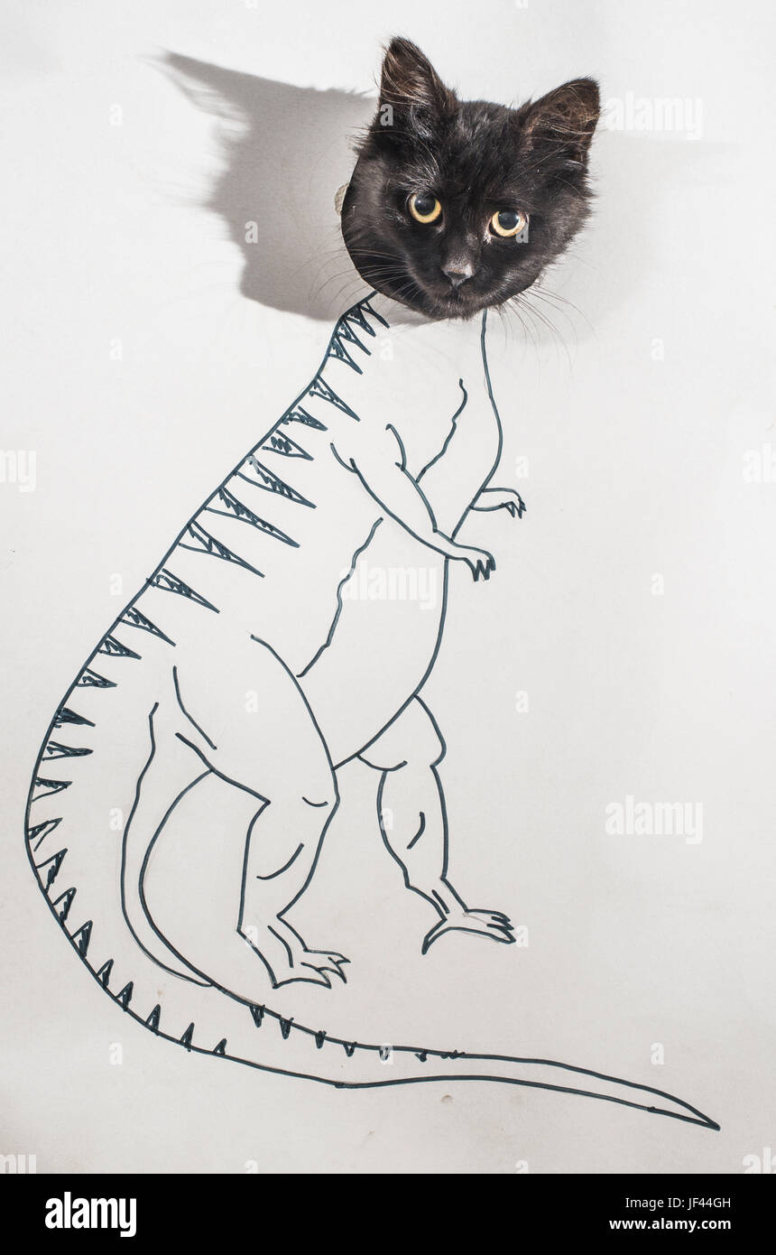 Strong cat conception drawing Stock Photo - Alamy