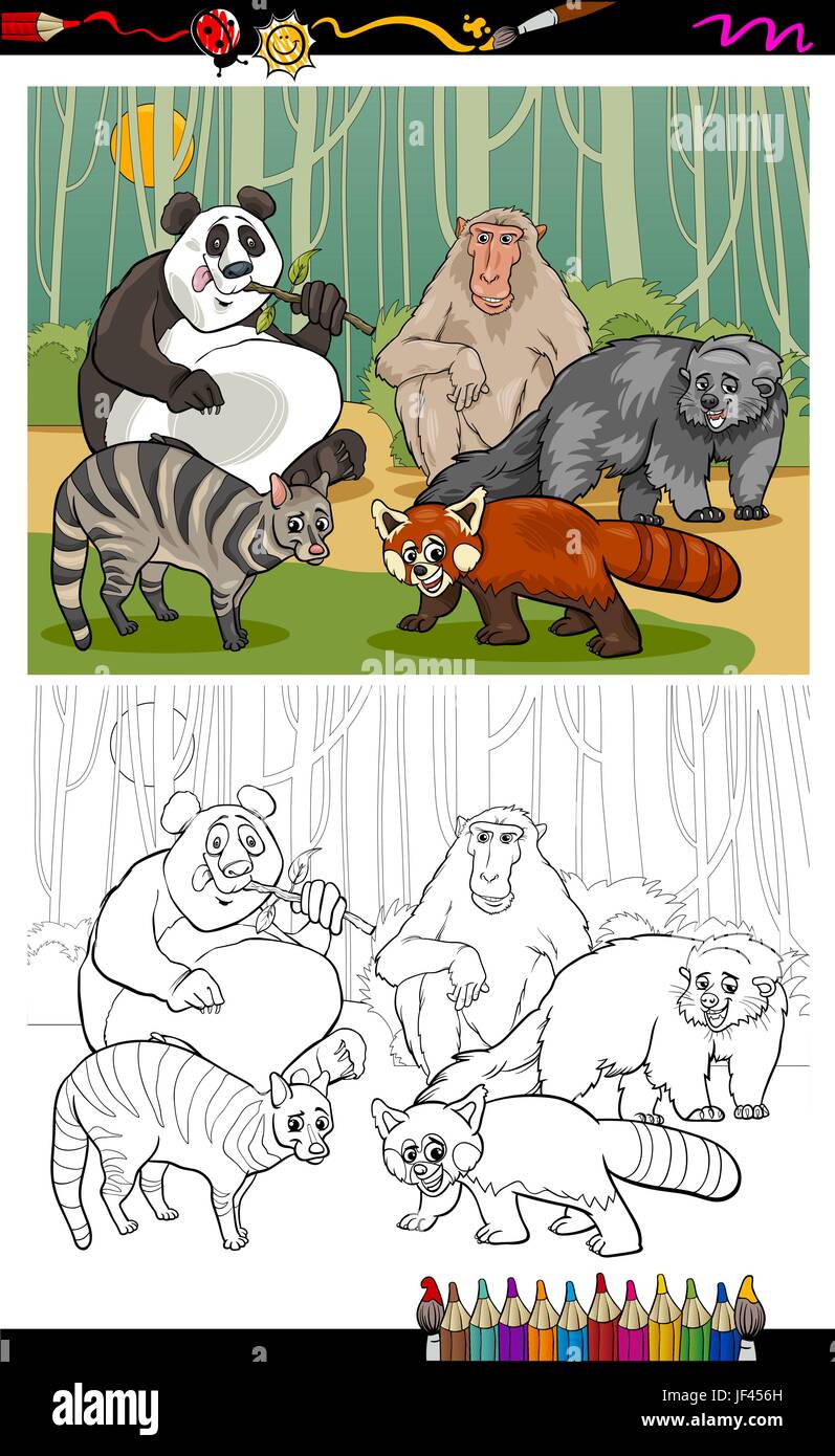 wild, animals, illustration, panda, asian, cartoon, group, application ...