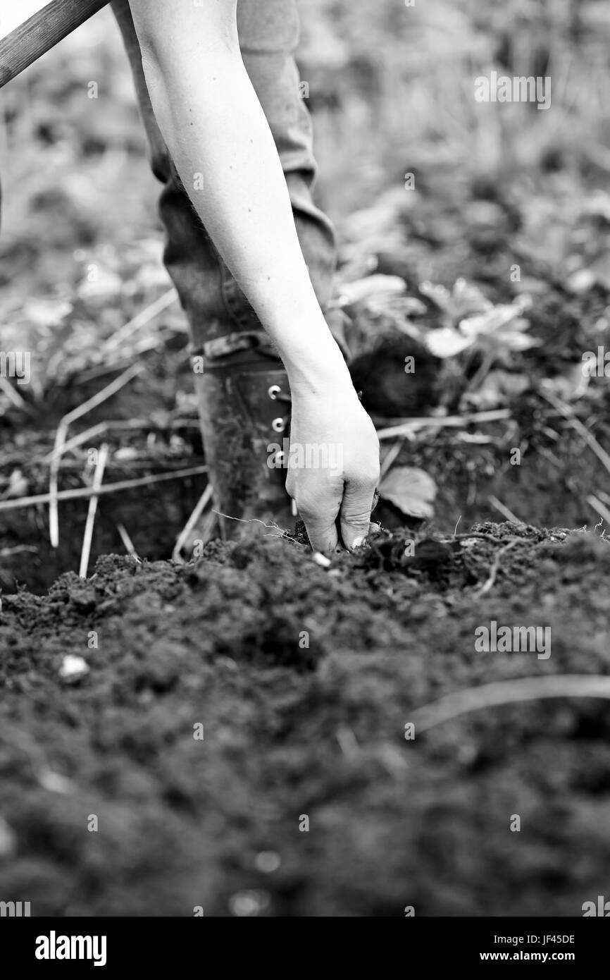 Recreational plot Black and White Stock Photos & Images - Alamy
