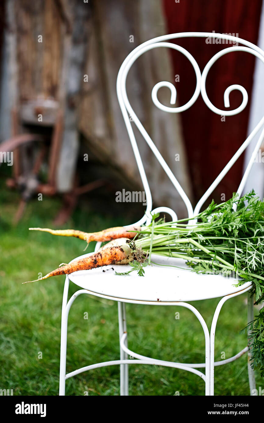 Carrots on chair Stock Photo - Alamy