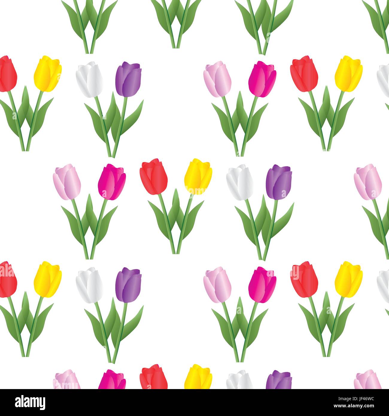 flower, plant, tulips, illustration, tulip, vector, backdrop ...
