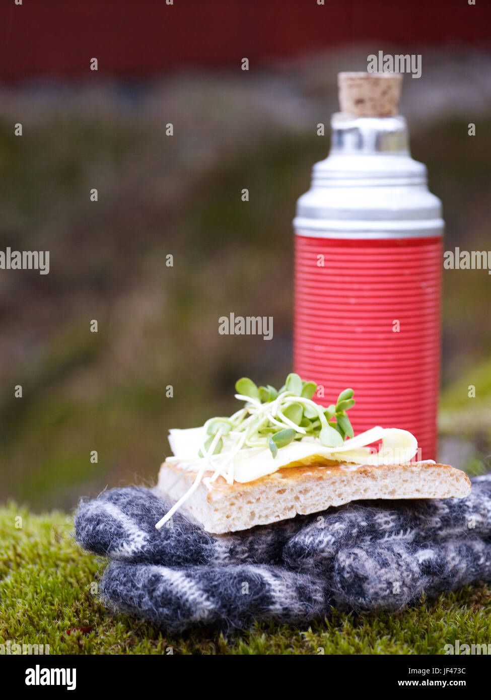 Cheese on flat bread, thermos on background Stock Photo - Alamy