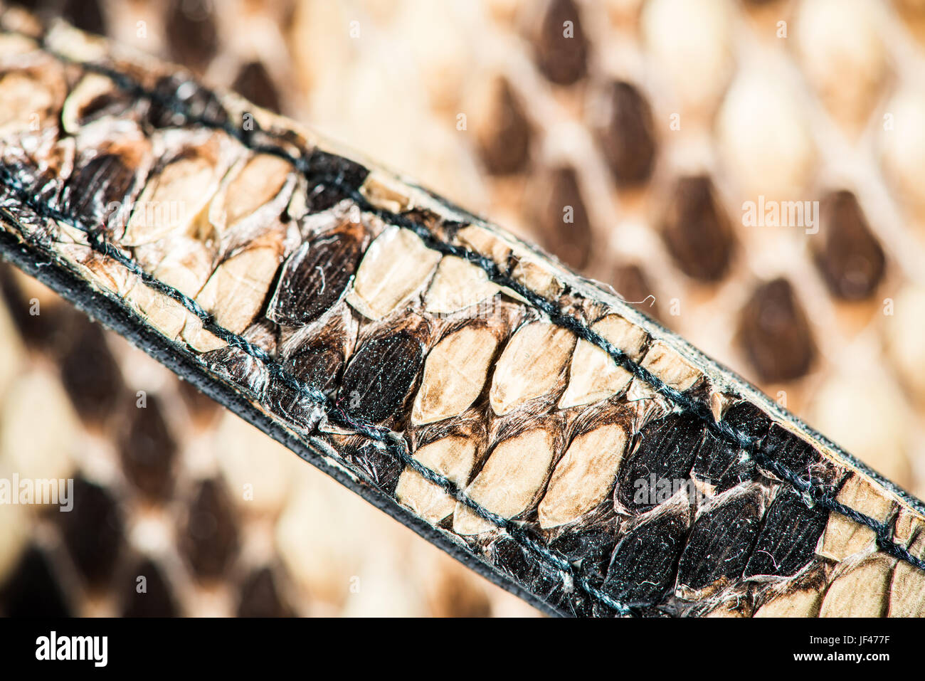 Texture of genuine snakeskin Stock Photo - Alamy