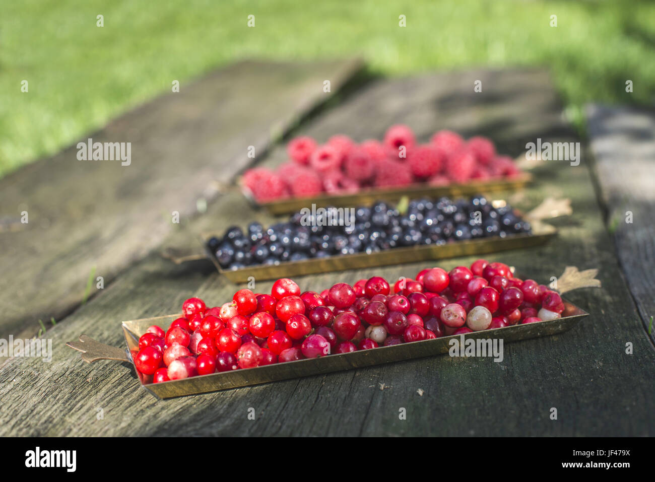 Red and black raspberry and blueberry Stock Photo - Alamy