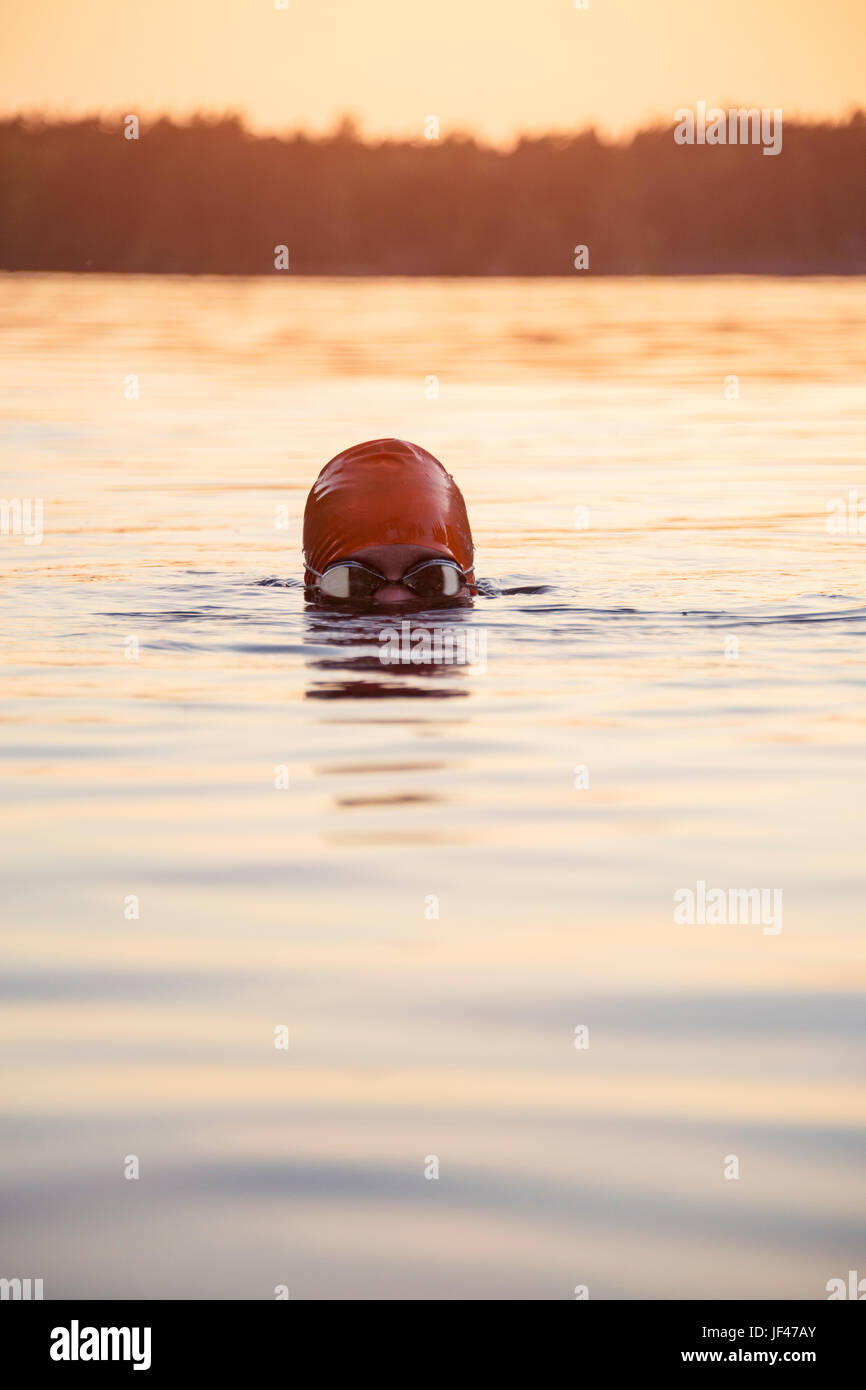 Person swimming at sunset Stock Photo - Alamy