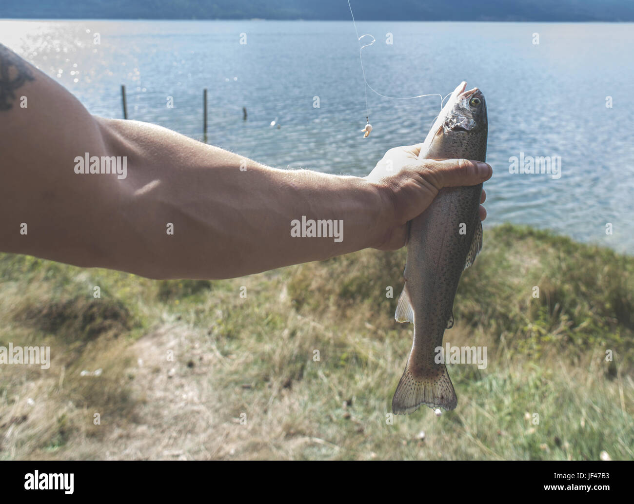 Fisherman caught a fish Stock Photo - Alamy