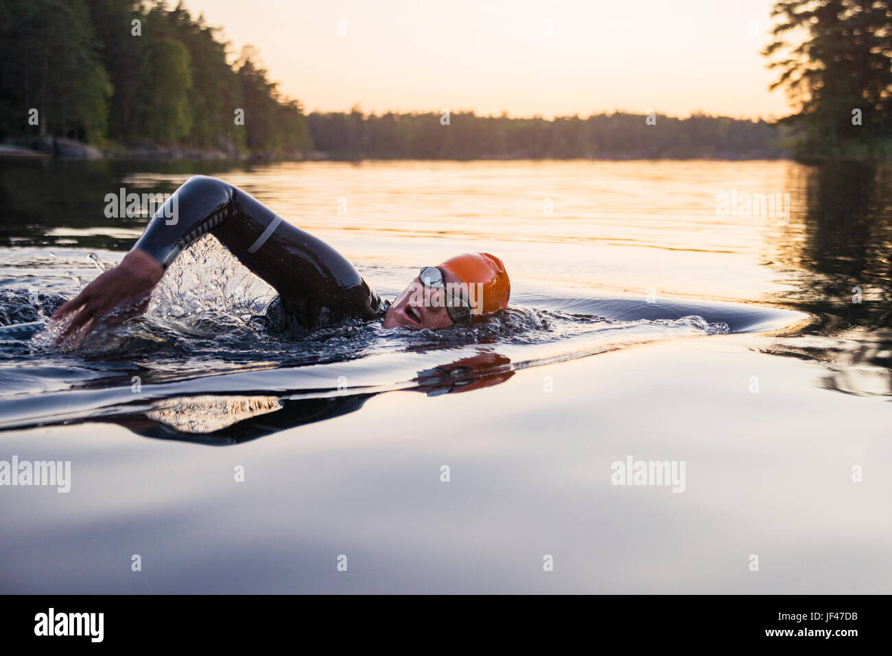 Person swimming at sunset Stock Photo - Alamy