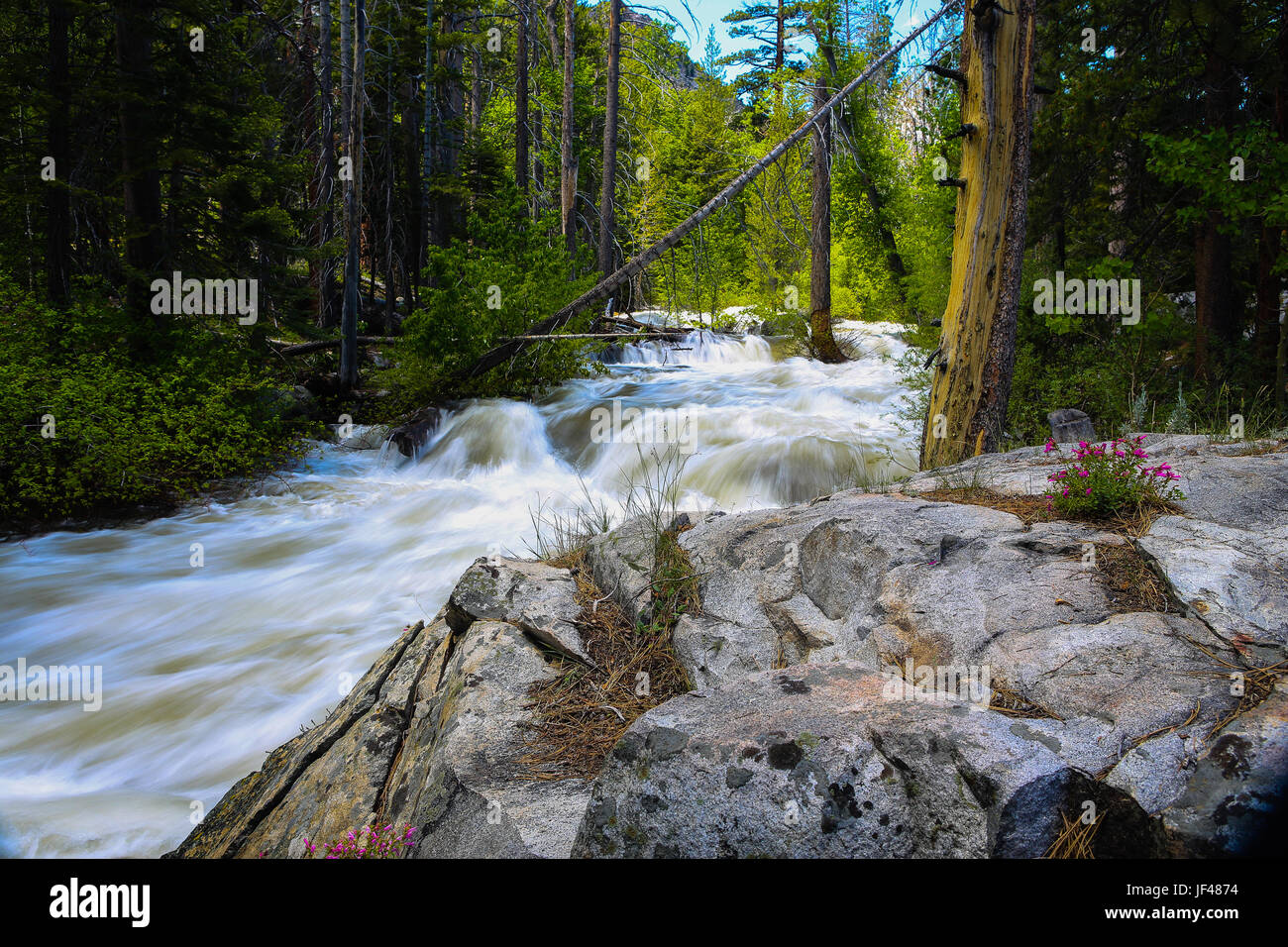 Lee vining creek hi-res stock photography and images - Alamy