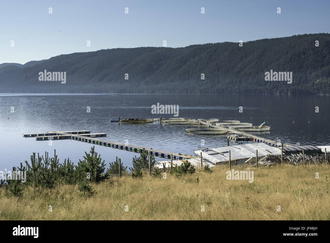 Cages for fish farming Stock Photo - Alamy