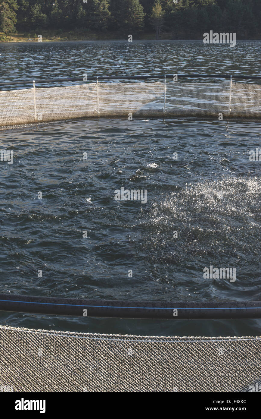 Cages for fish farming Stock Photo - Alamy