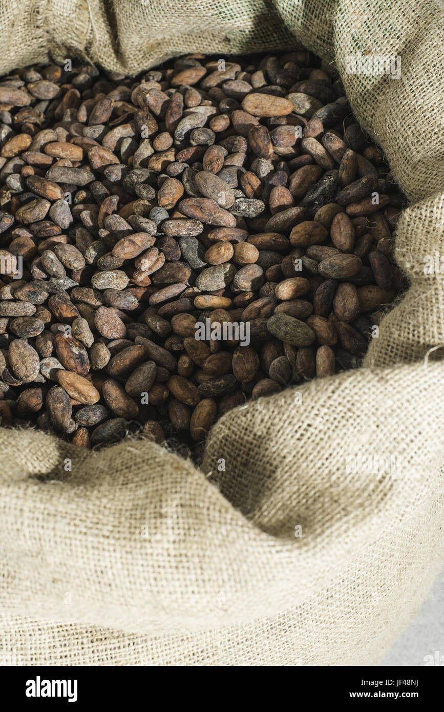 Hand holds cocoa beans Stock Photo - Alamy