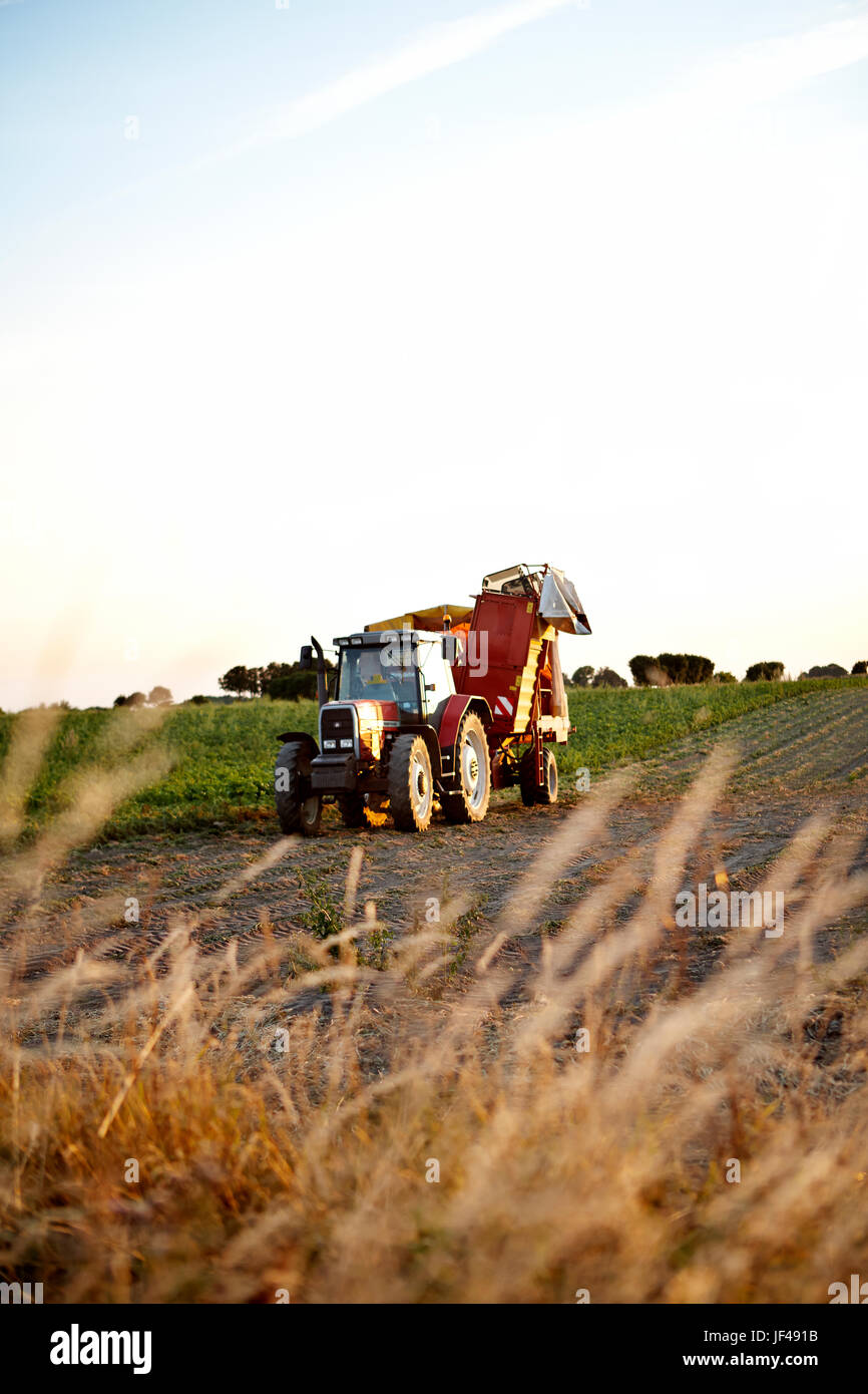 Tractor in field Stock Photo - Alamy