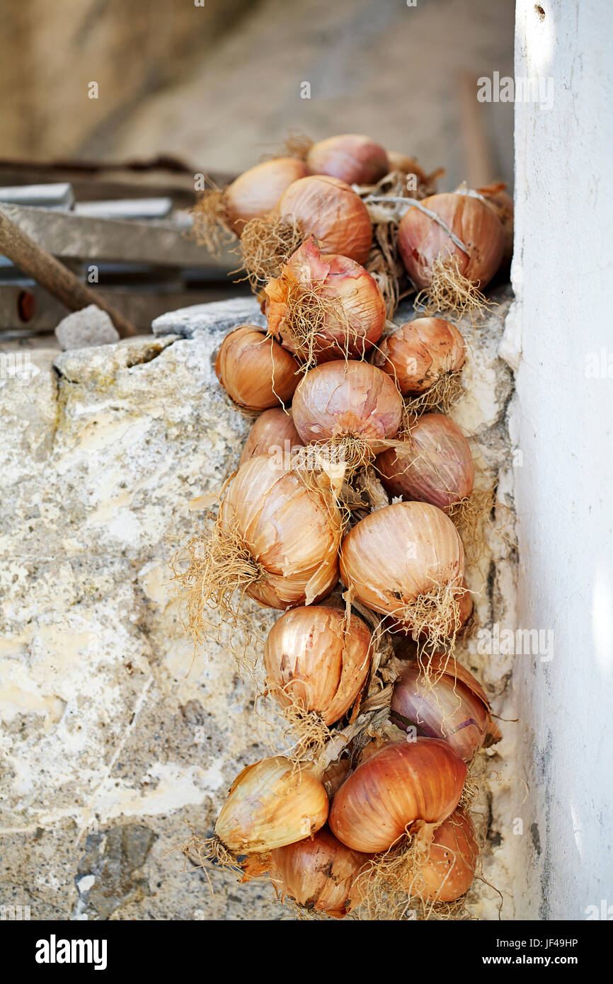 Onions on stone wall Stock Photo - Alamy