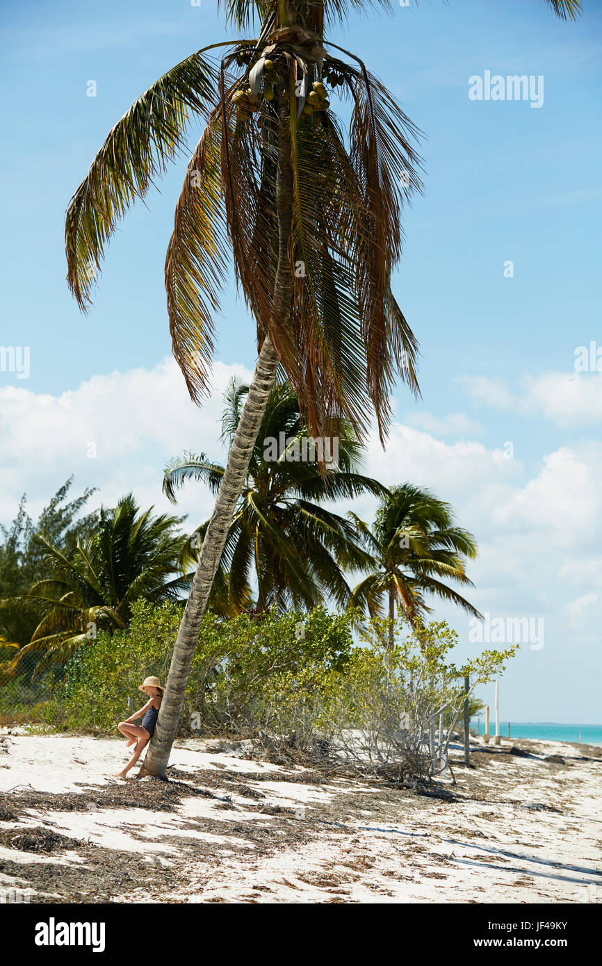 Leaning Against Palm Tree High Resolution Stock Photography and Images ...