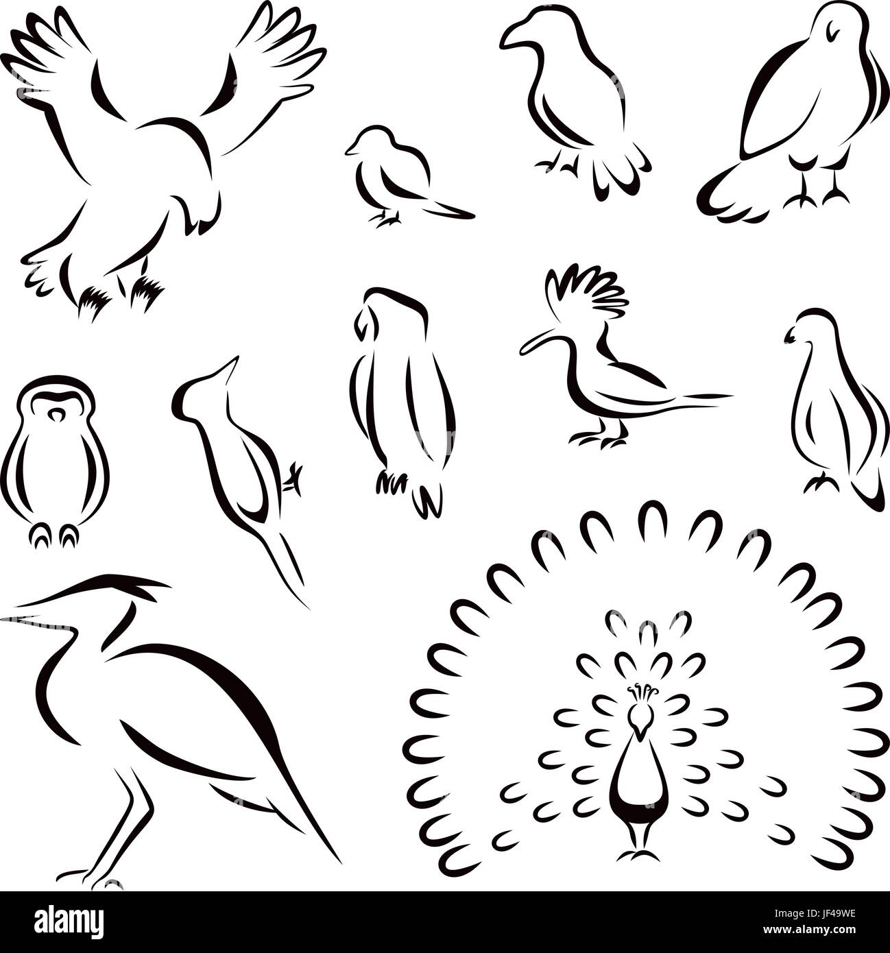 Peacock owl hi-res stock photography and images - Alamy