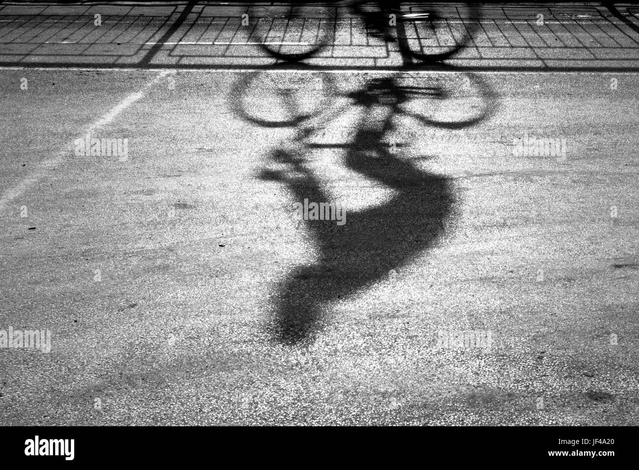 Blurry cyclist silhouette and shadow on a proteted bike path in sunset ...