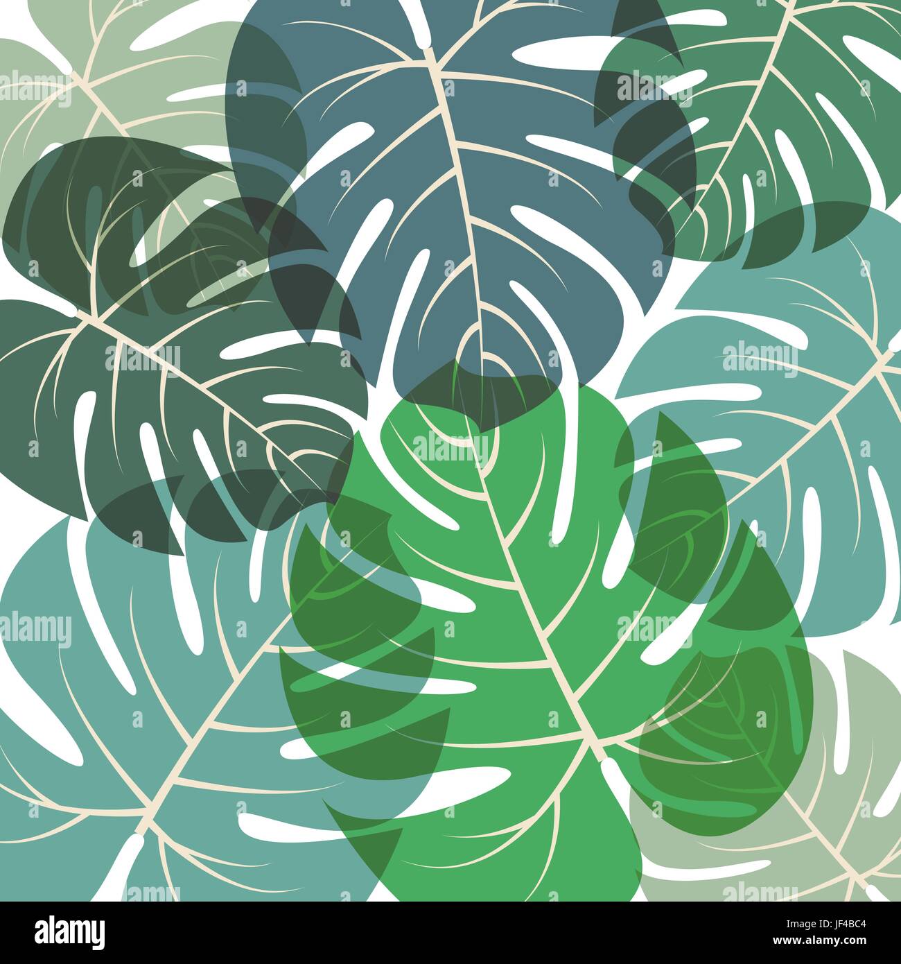 Translucent plant leaf Stock Vector Images - Alamy