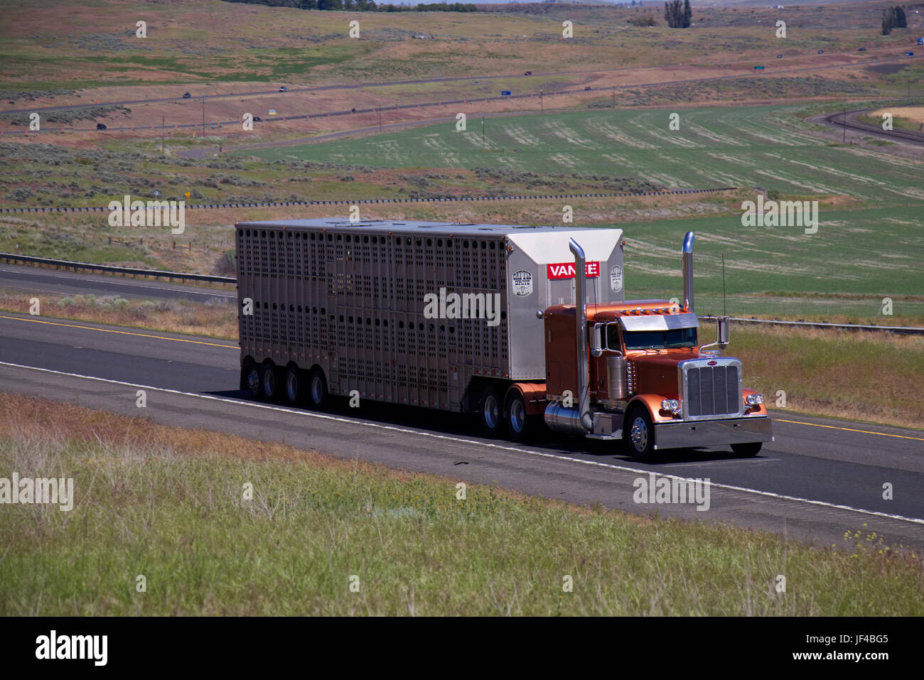 Copper Classic Peterbilt / Livestock Trailer Stock Photo - Alamy