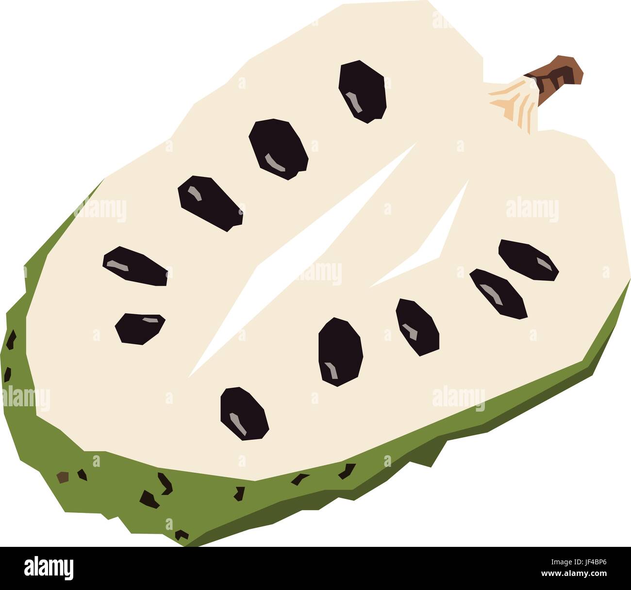 Isolated cut soursop Stock Vector Image & Art - Alamy