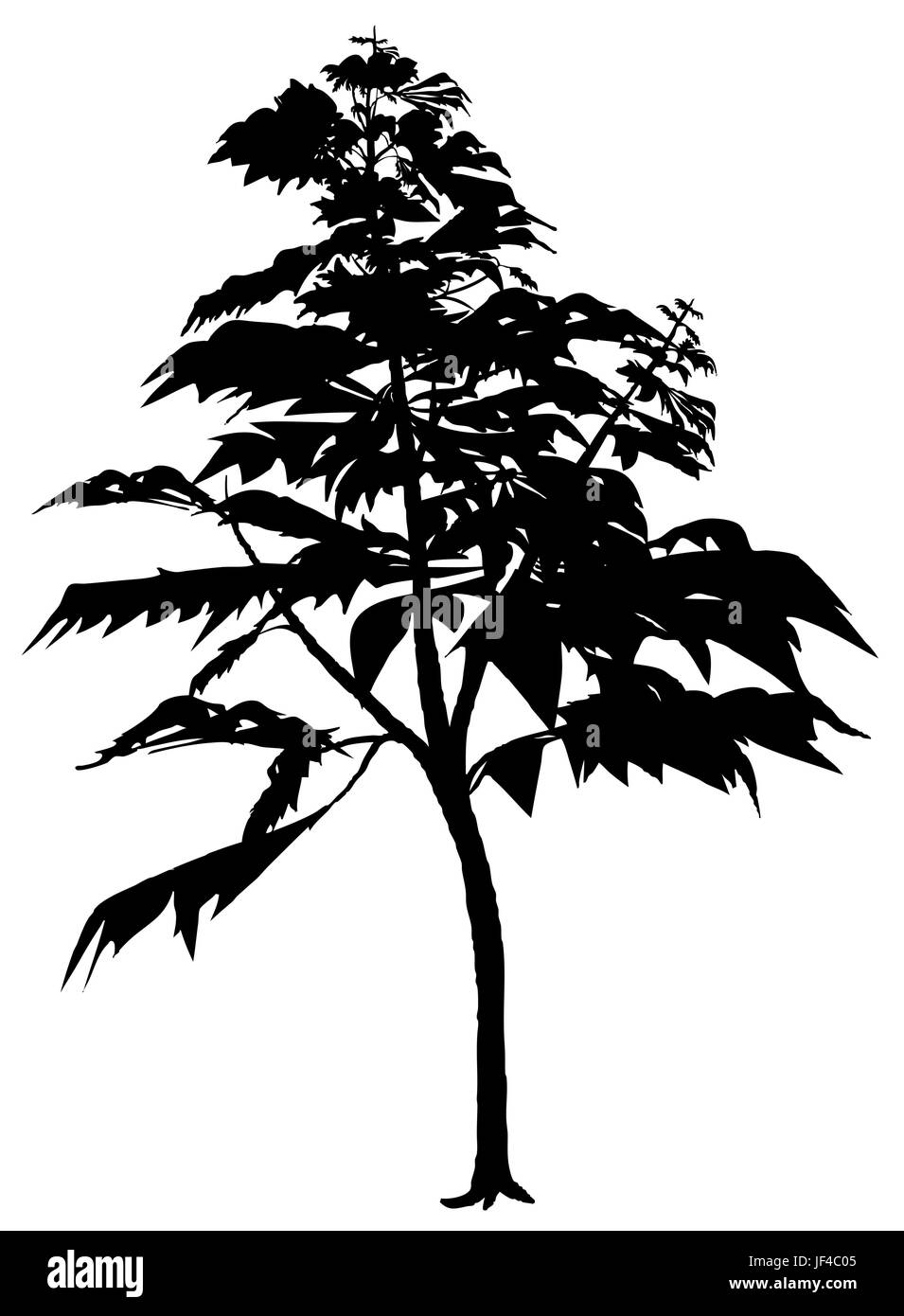 cut out vector Stock Vector Image & Art - Alamy