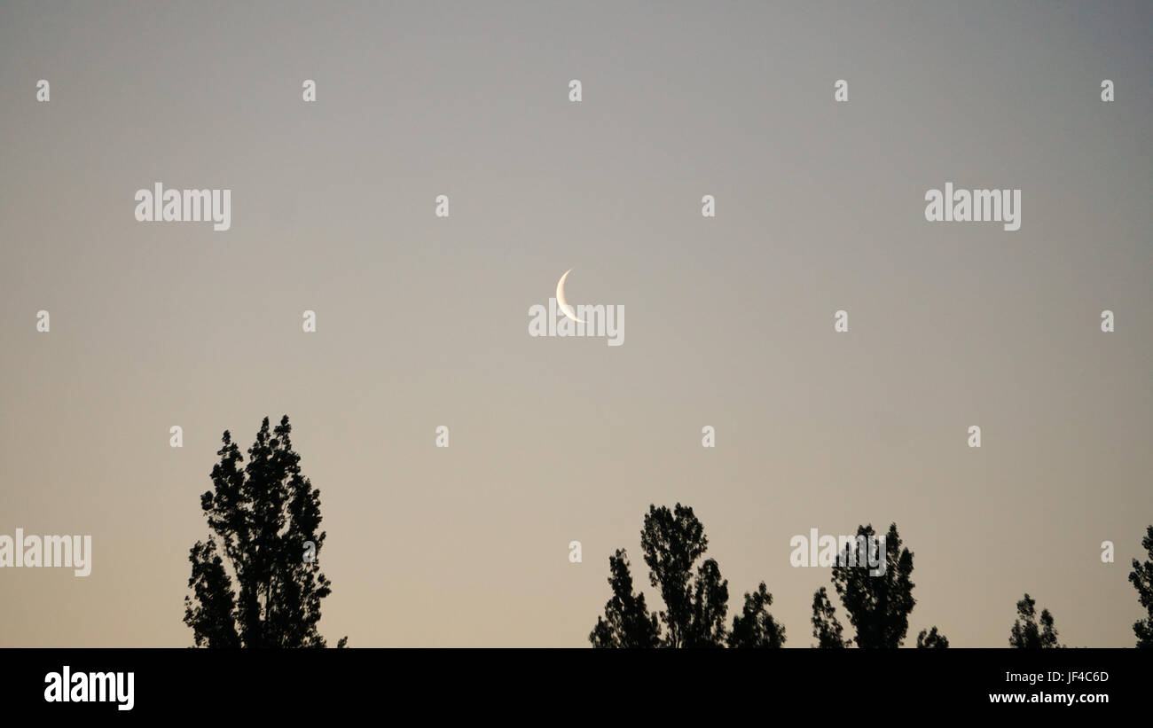 The Crescent moon hanging in the morning sky Stock Photo - Alamy