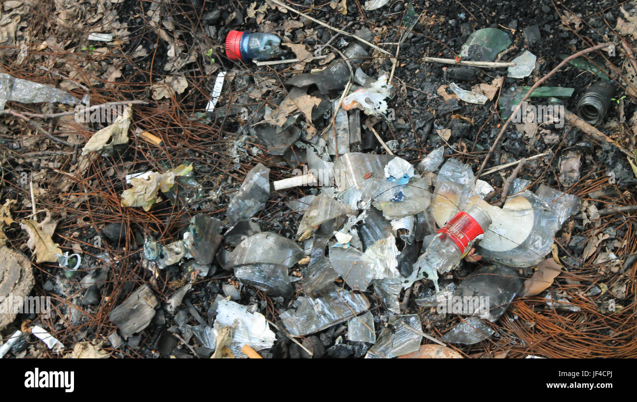garbage in the forest, environmental pollution, attention Stock Photo ...