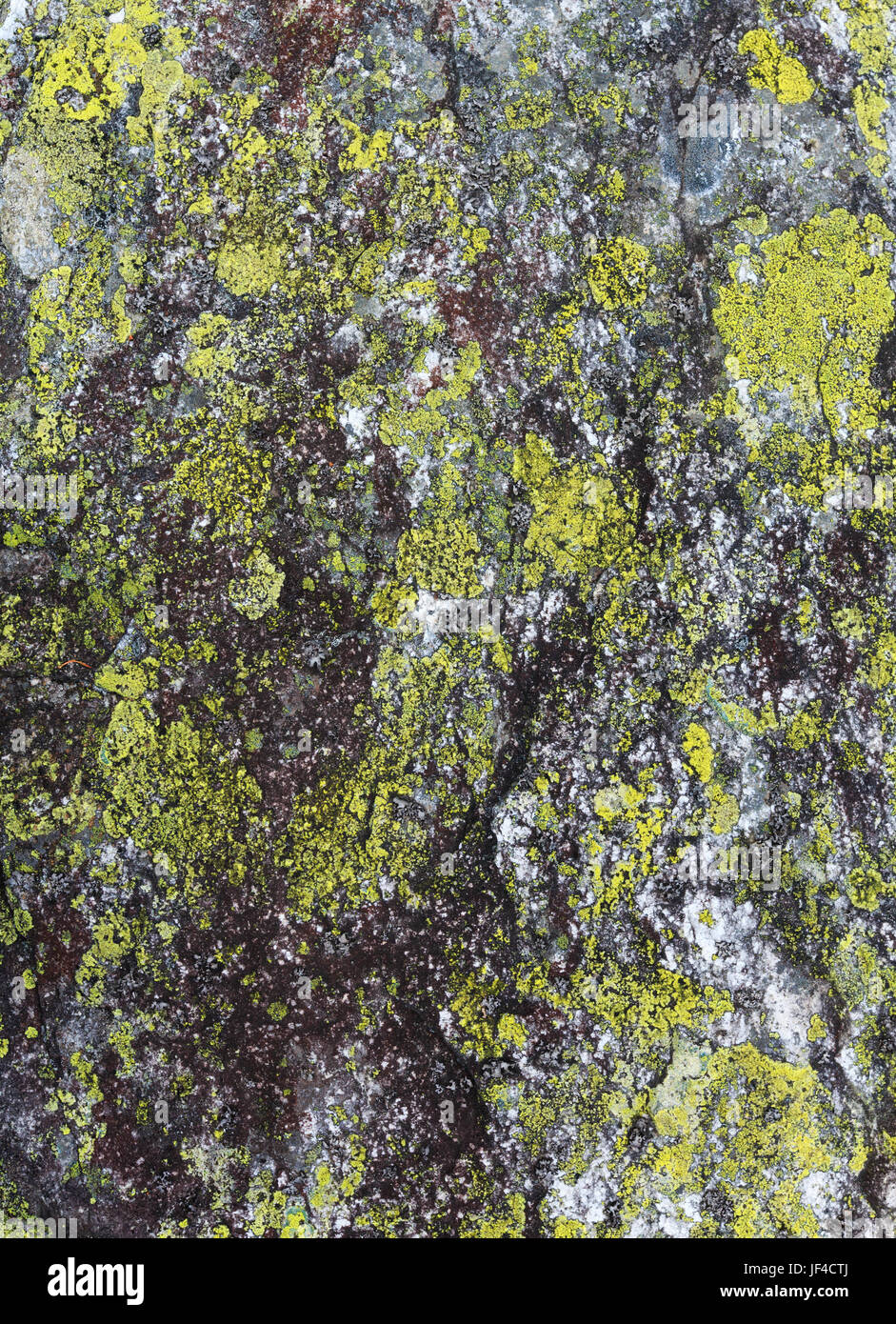 Stone with lichen (background Stock Photo - Alamy