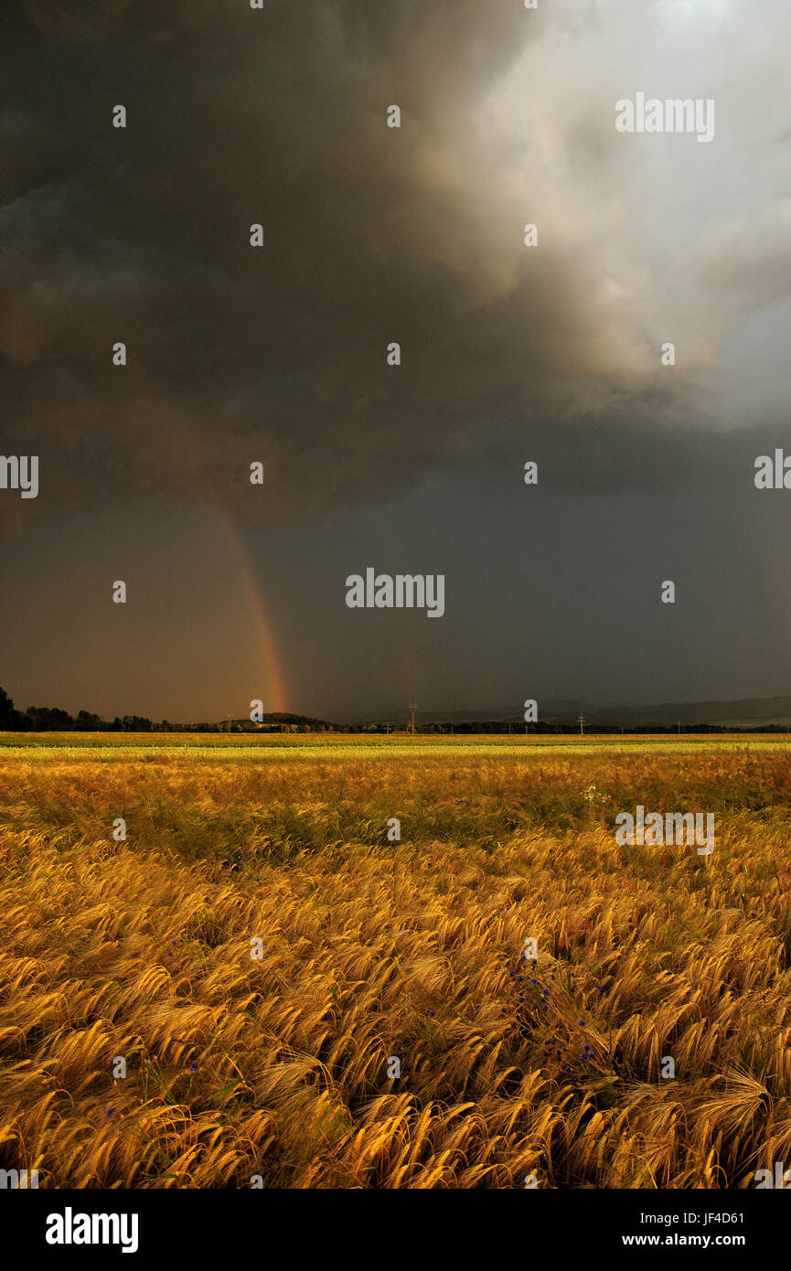 dolnaslaskie, storm weather, poland, lower silesia, landscape, spring ...