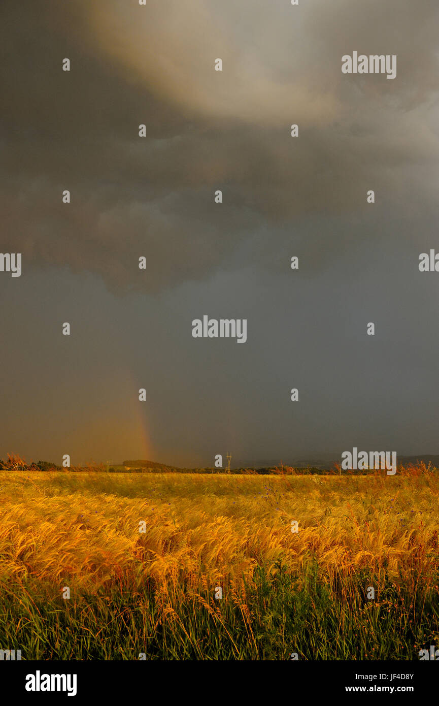 dolnaslaskie, storm weather, poland, lower silesia, landscape, spring ...
