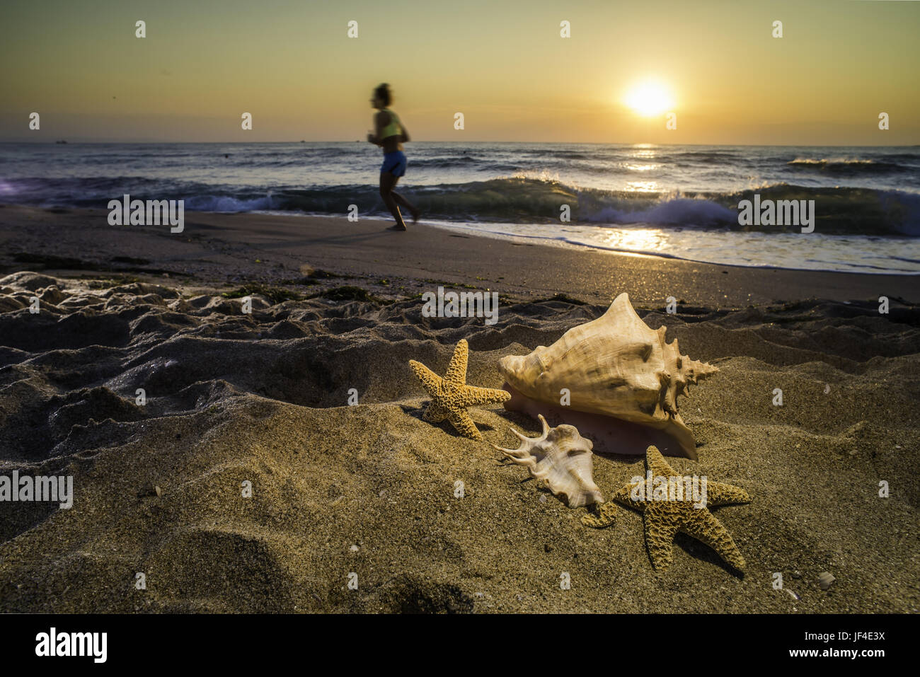 Sunrise on the beach. Shells Stock Photo - Alamy