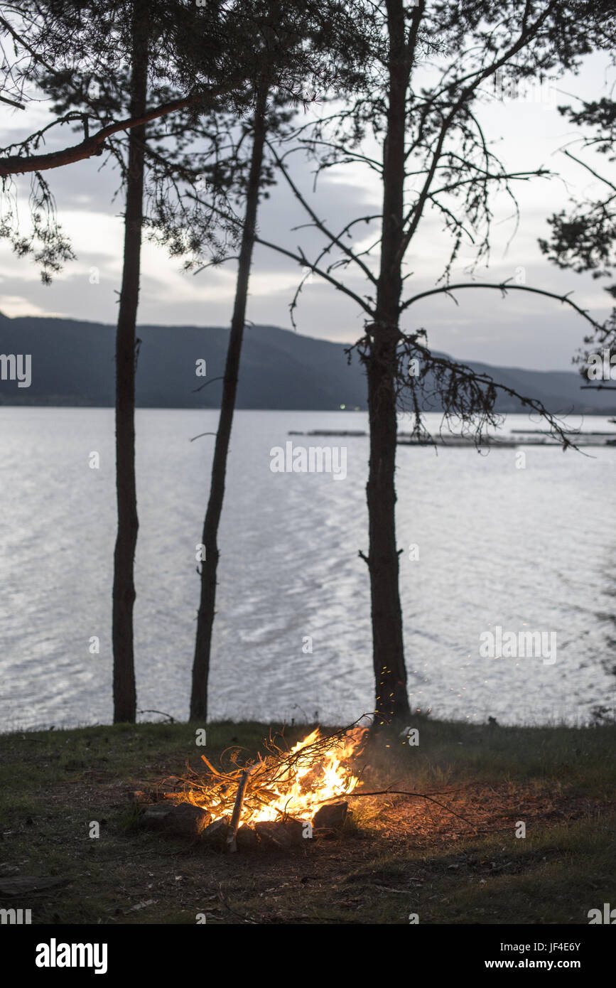 Fire in the nature Stock Photo - Alamy