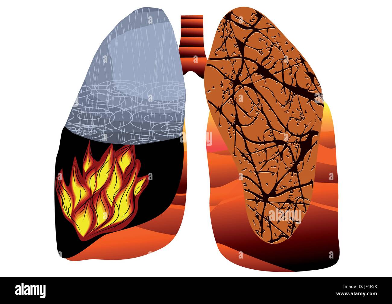 Project anatomy Stock Vector Images - Alamy