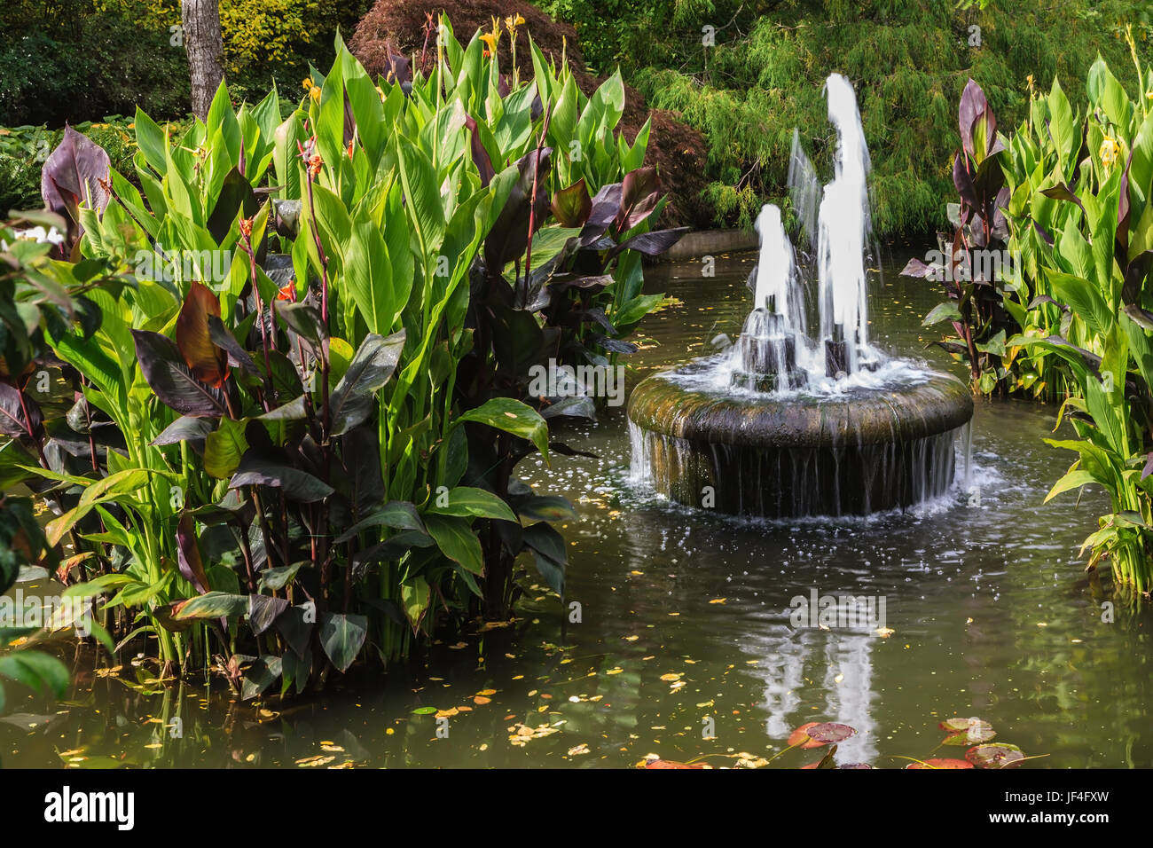 Fountain in pond park hi-res stock photography and images - Alamy