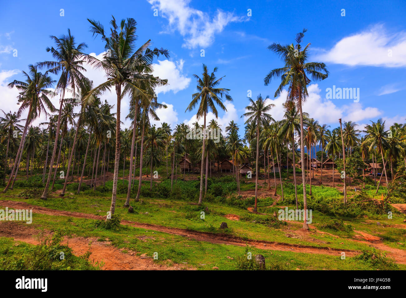 Beginning of spring hi-res stock photography and images - Alamy