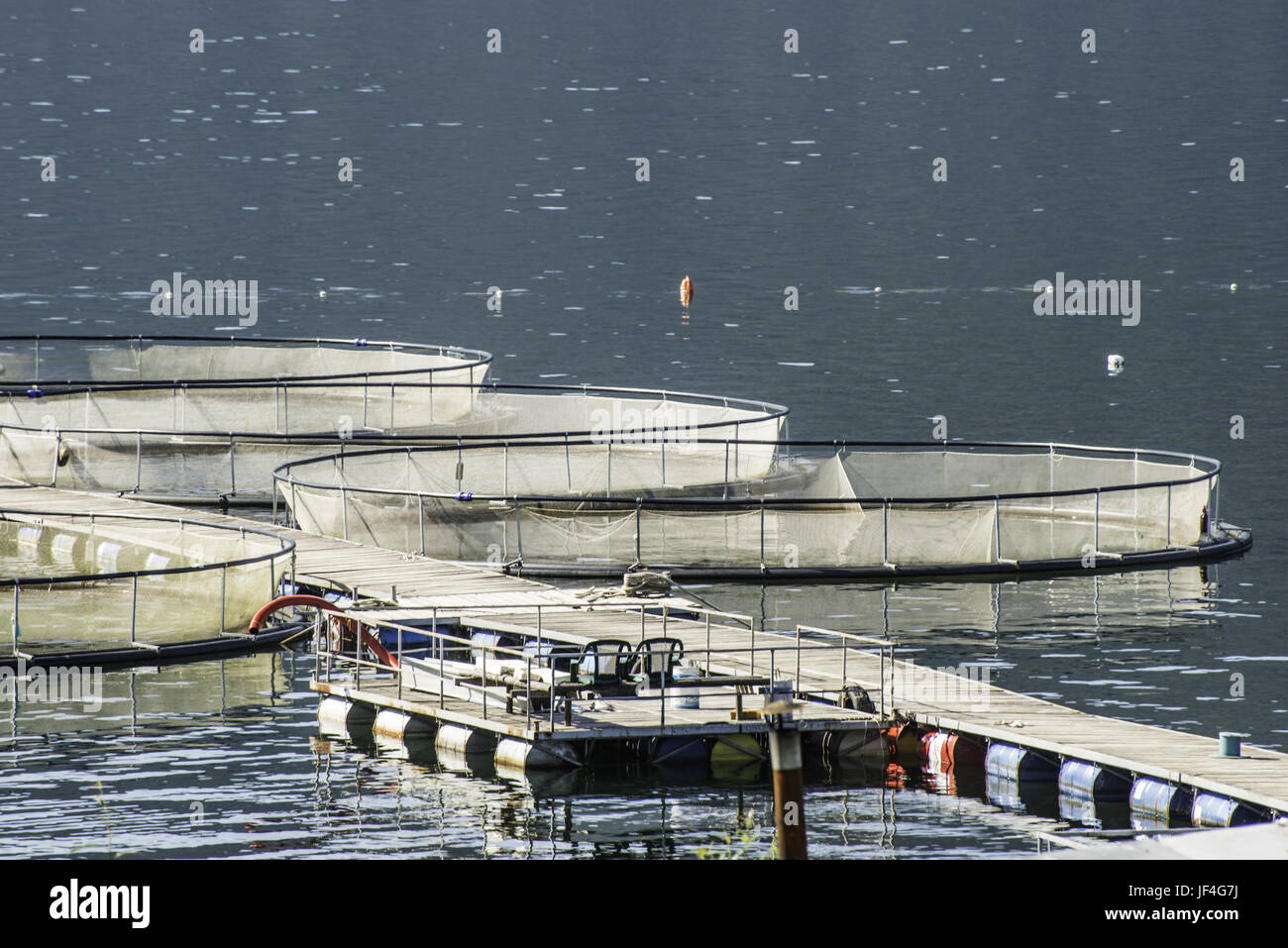 Cages for fish farming Stock Photo - Alamy