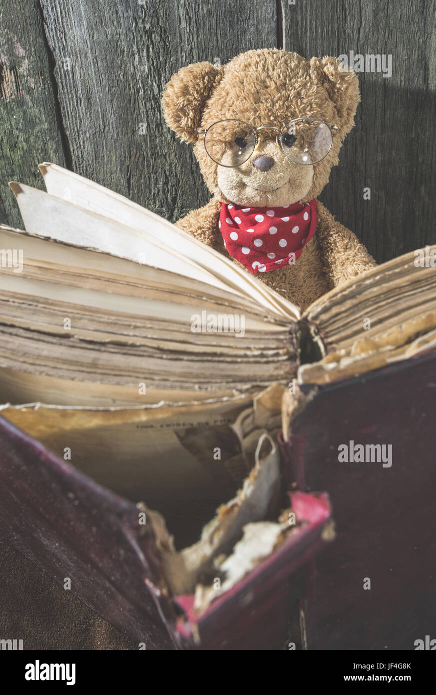 Children teddy bear with book Stock Photo - Alamy