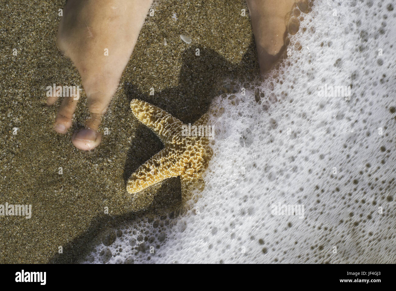 Starfish and feet on the beach Stock Photo - Alamy