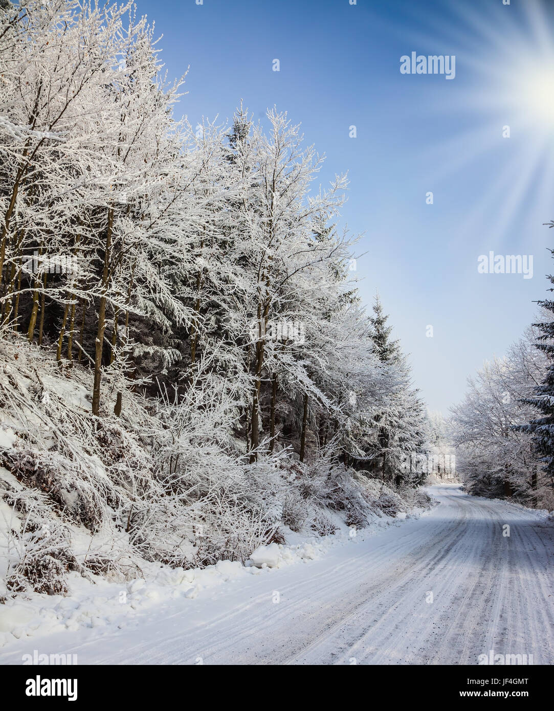 Bright and sunny Christmas morning Stock Photo - Alamy