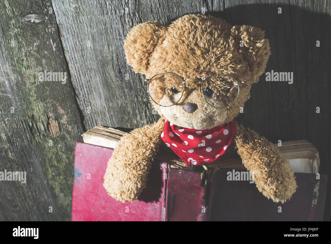 Children teddy bear with book Stock Photo - Alamy