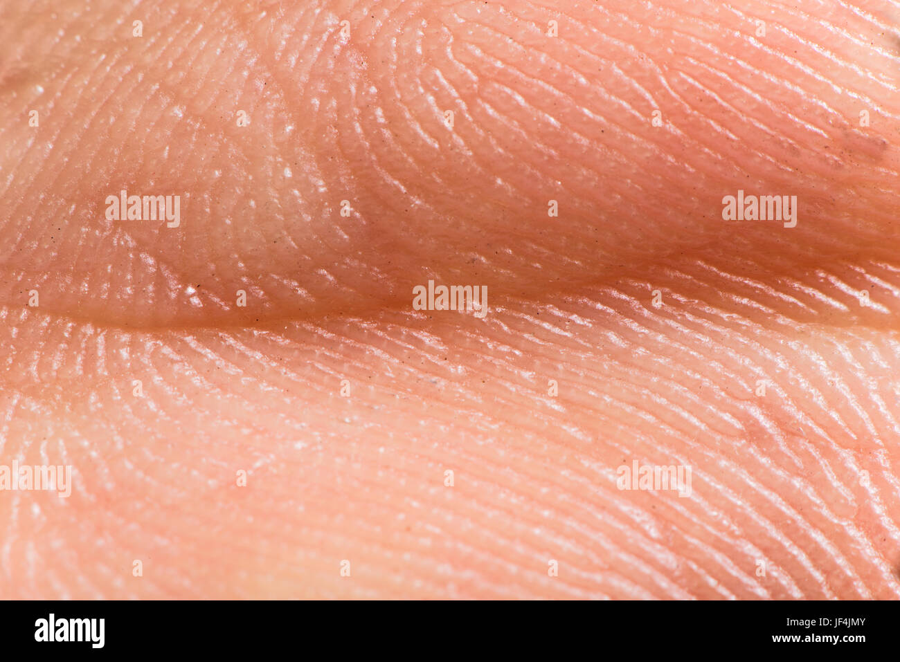 Close up human skin. Macro epidermis Stock Photo - Alamy