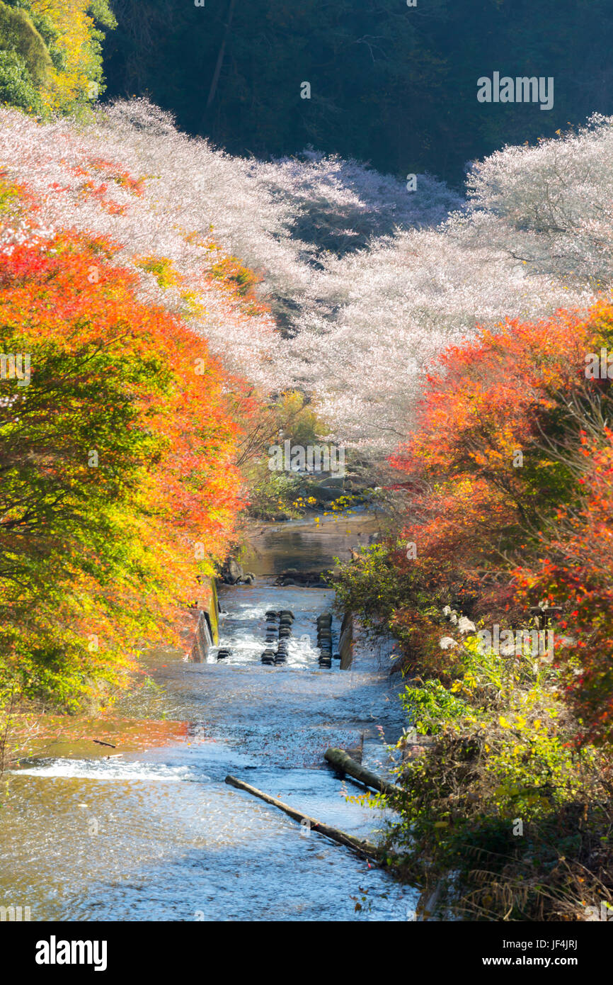Autumn in nagoya hi-res stock photography and images - Alamy