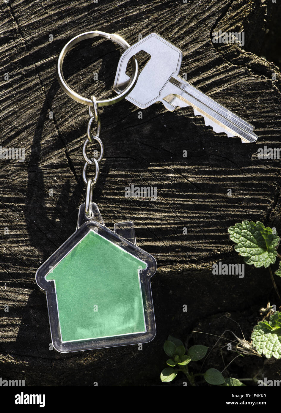 Keychain in a shape of house Stock Photo - Alamy