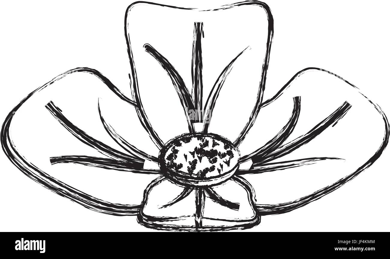 Spa flower isolated Stock Vector Image & Art - Alamy