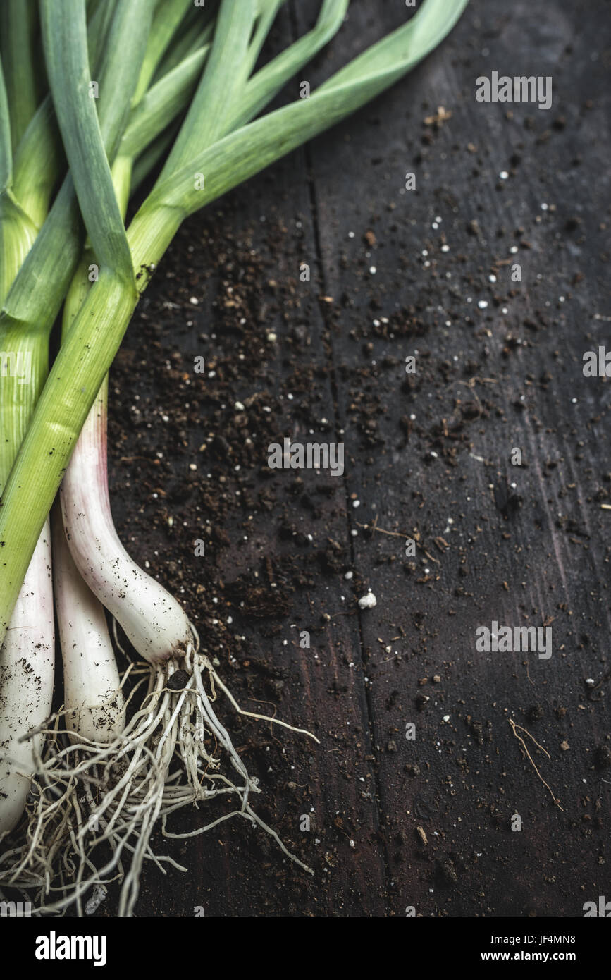 Fresh green garlic Stock Photo - Alamy