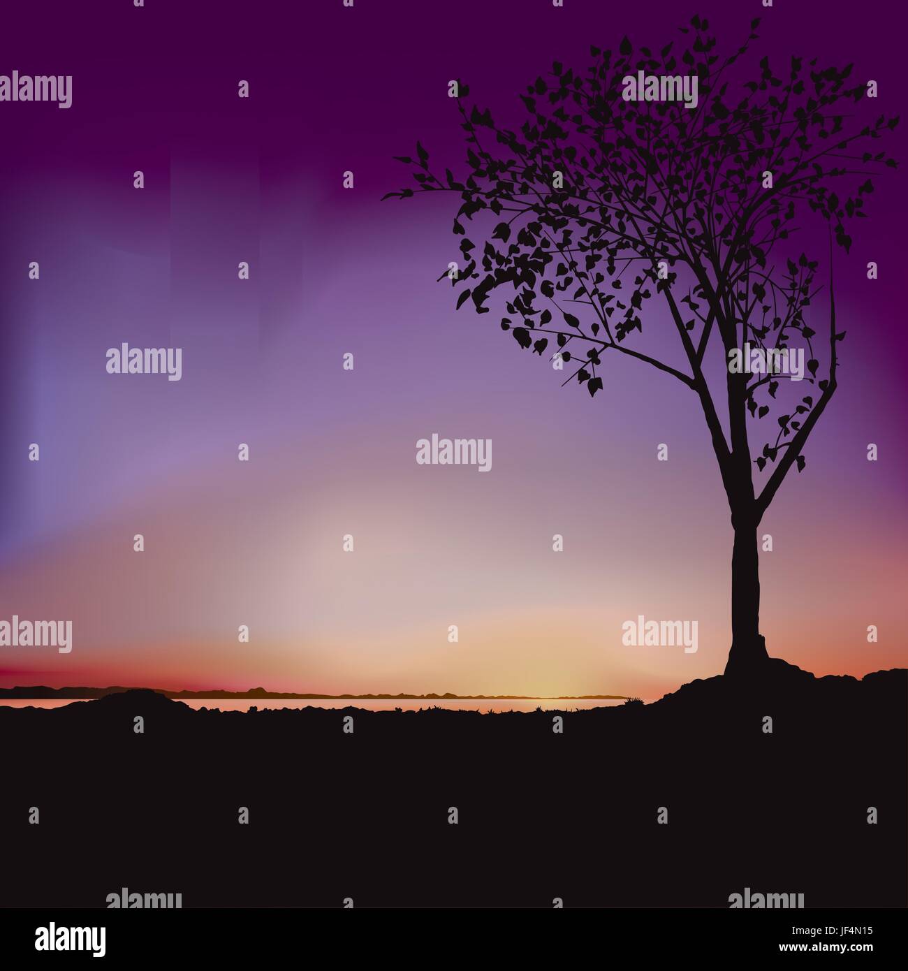tree, horizon, night, nighttime, sunset, sunrise, sunlight ...