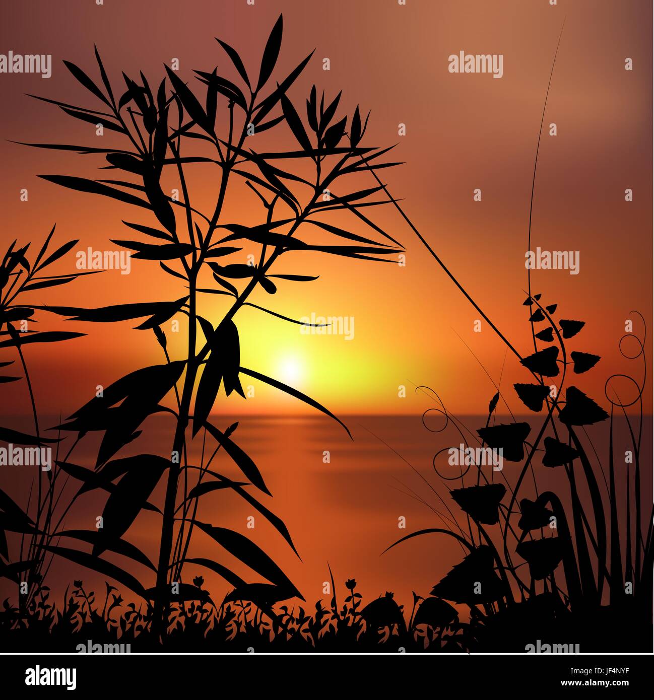 leaf, composition, model, design, project, concept, plan, draft, flower ...