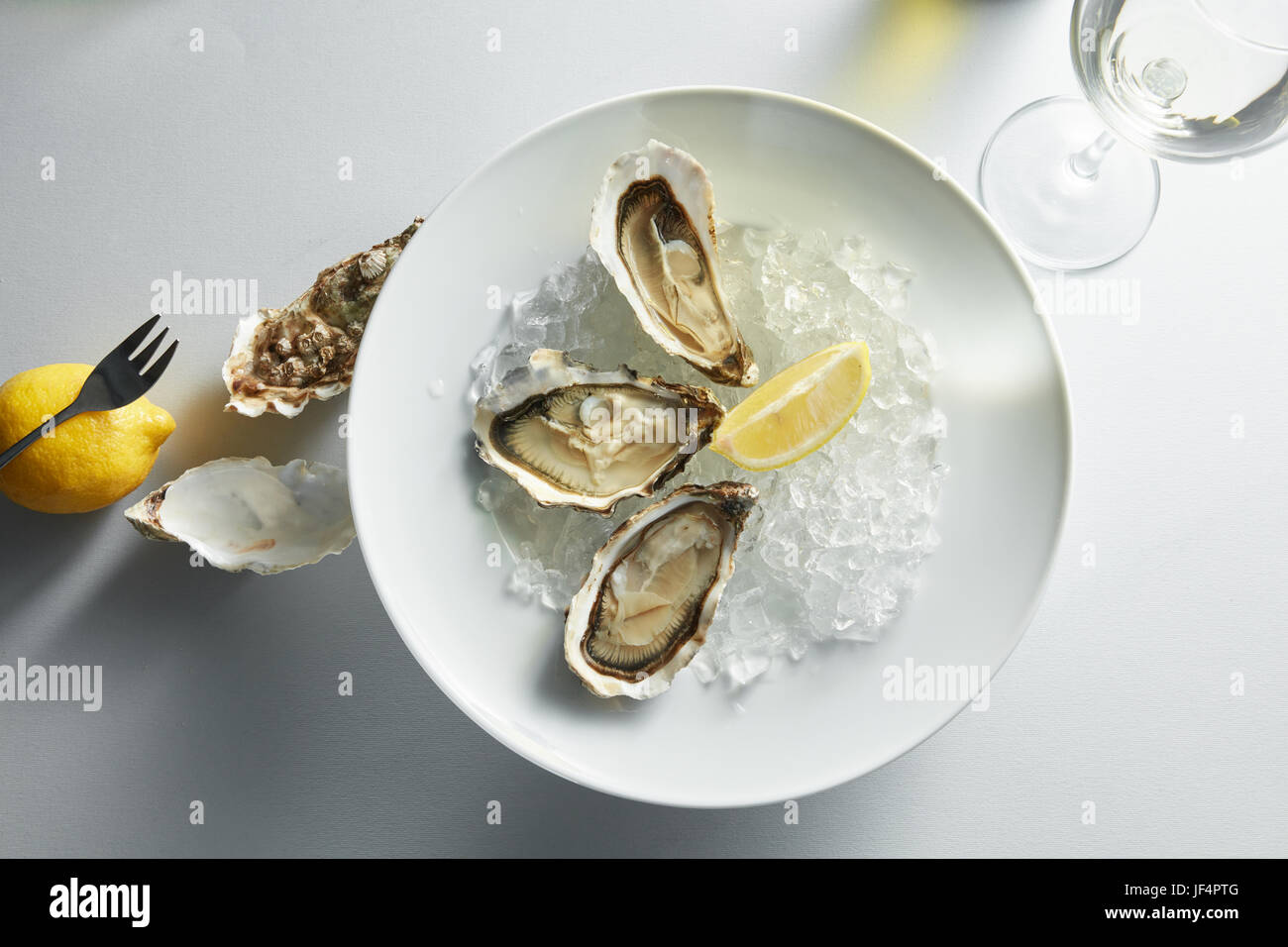 Oysters with lemon on plates Stock Photo - Alamy