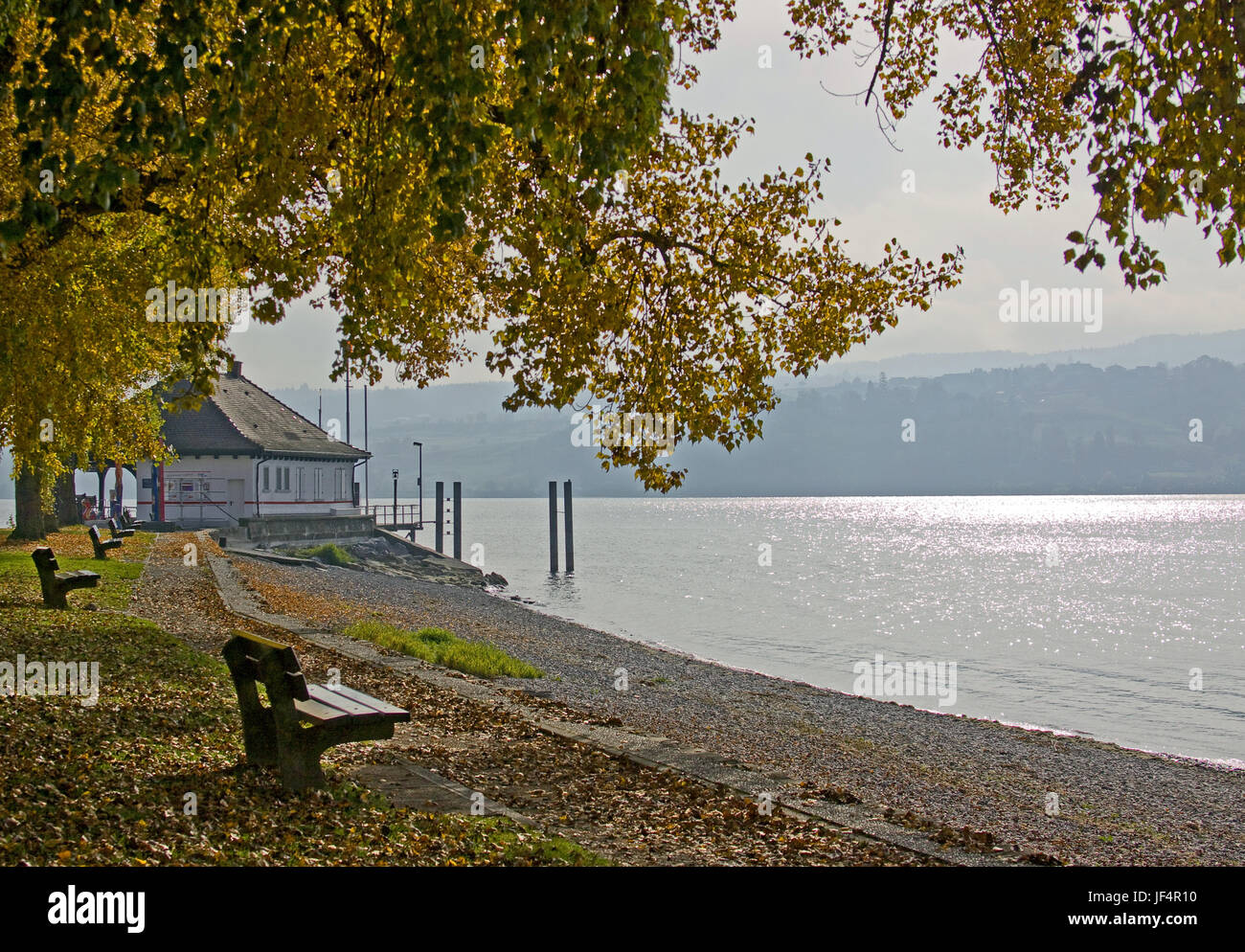 Island Reichenau at Lake Constance Stock Photo - Alamy